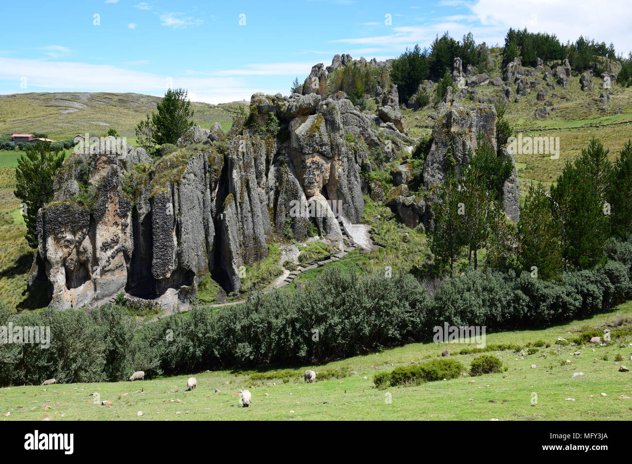 Archaeological site of Cumbemayo near Cajamarca, Peru Stock Photo - Alamy