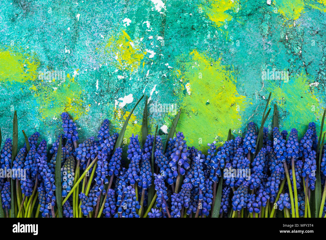 Blue spring flowers on colorful background Stock Photo - Alamy