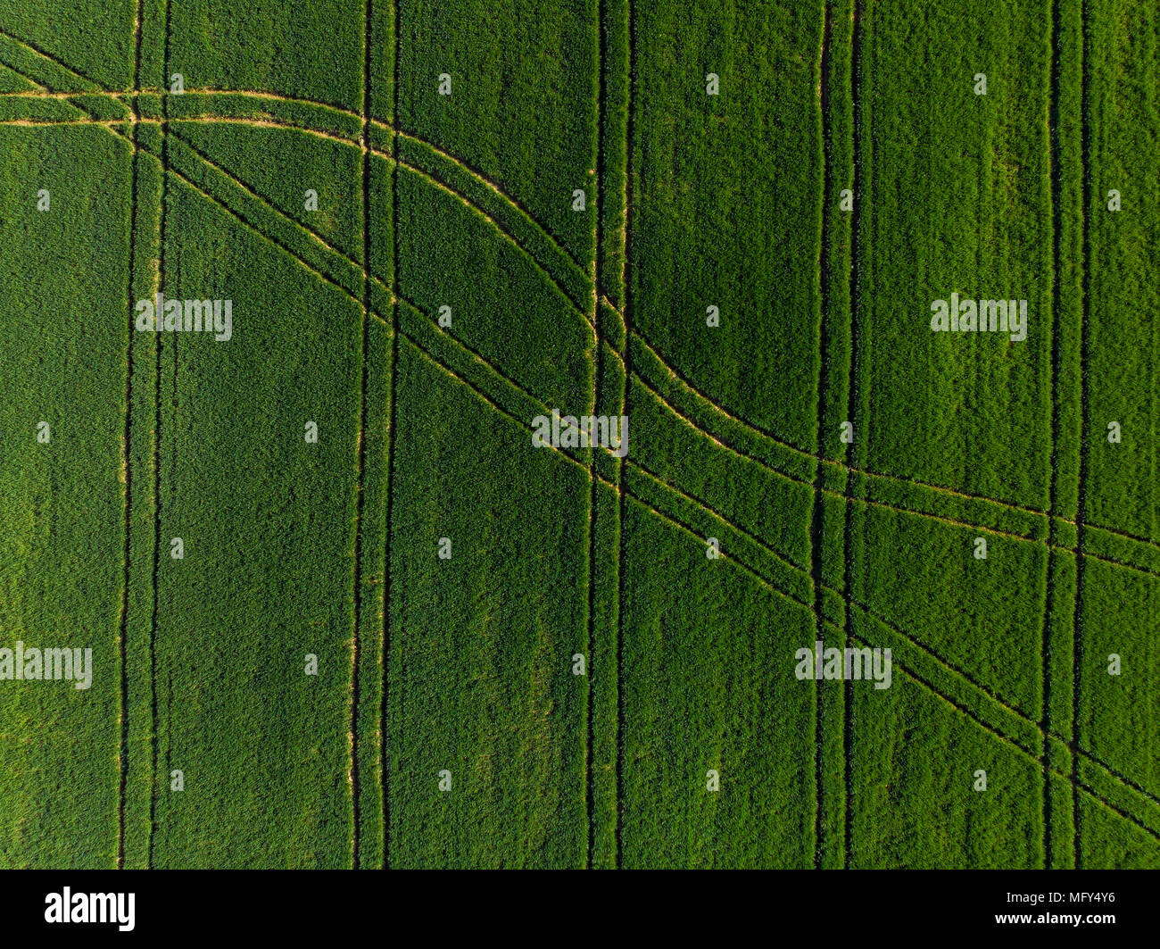 Tractor drive patterns in agriciltural farming green fields. Aerial ...
