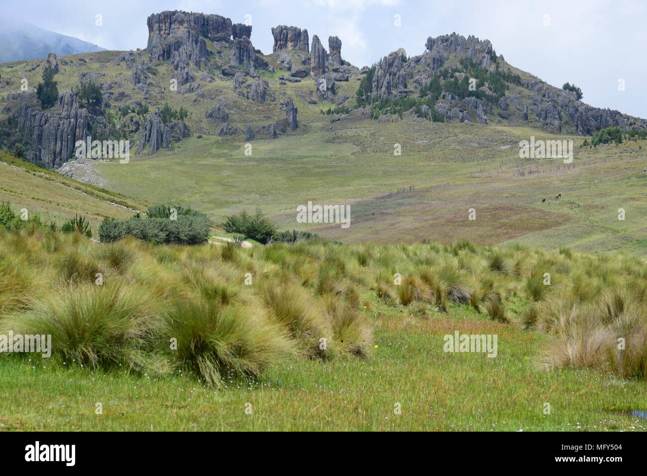 Archaeological site of Cumbemayo near Cajamarca, Peru Stock Photo - Alamy
