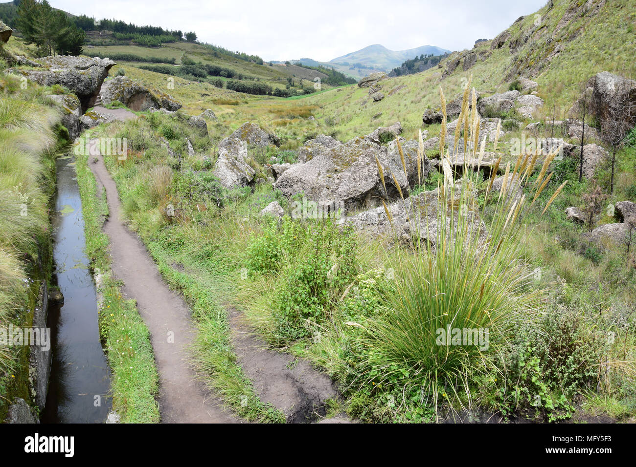 Archaeological site of Cumbemayo near Cajamarca, Peru Stock Photo - Alamy