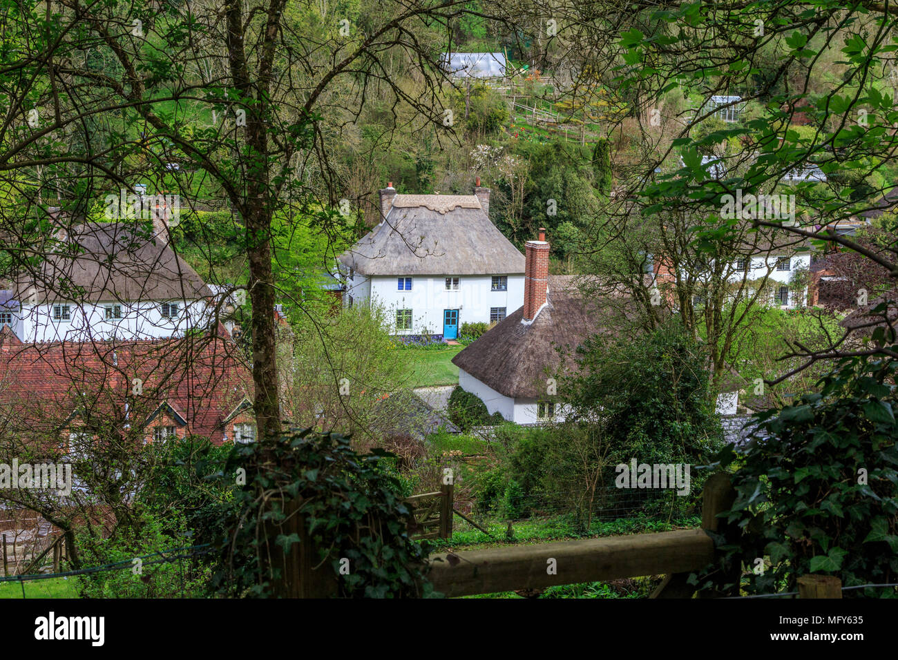 Milton abbas dorset houses hi-res stock photography and images - Alamy