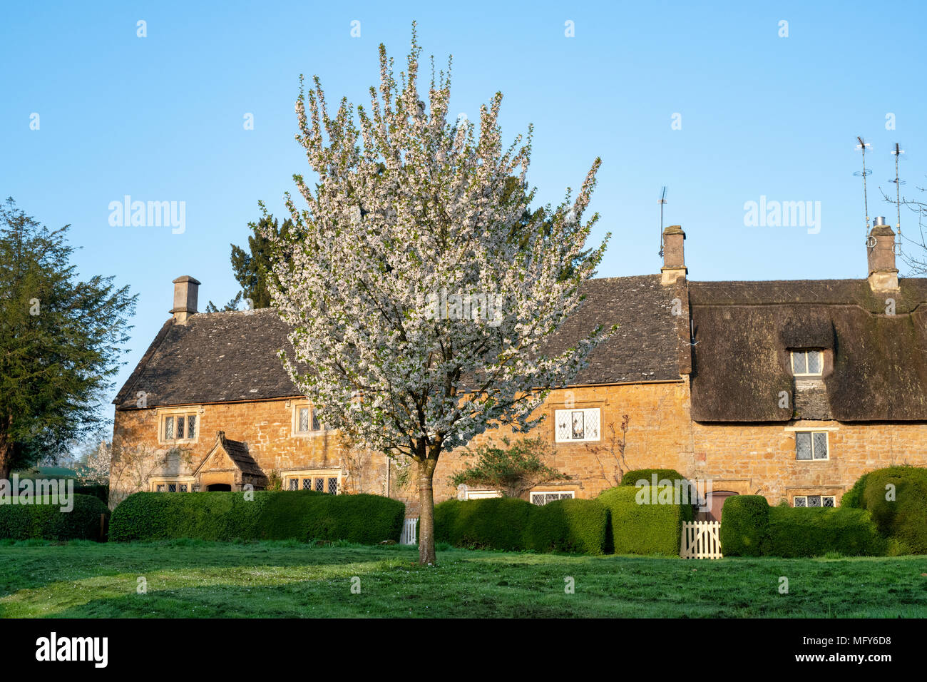 Village of cherry tree hi-res stock photography and images - Alamy