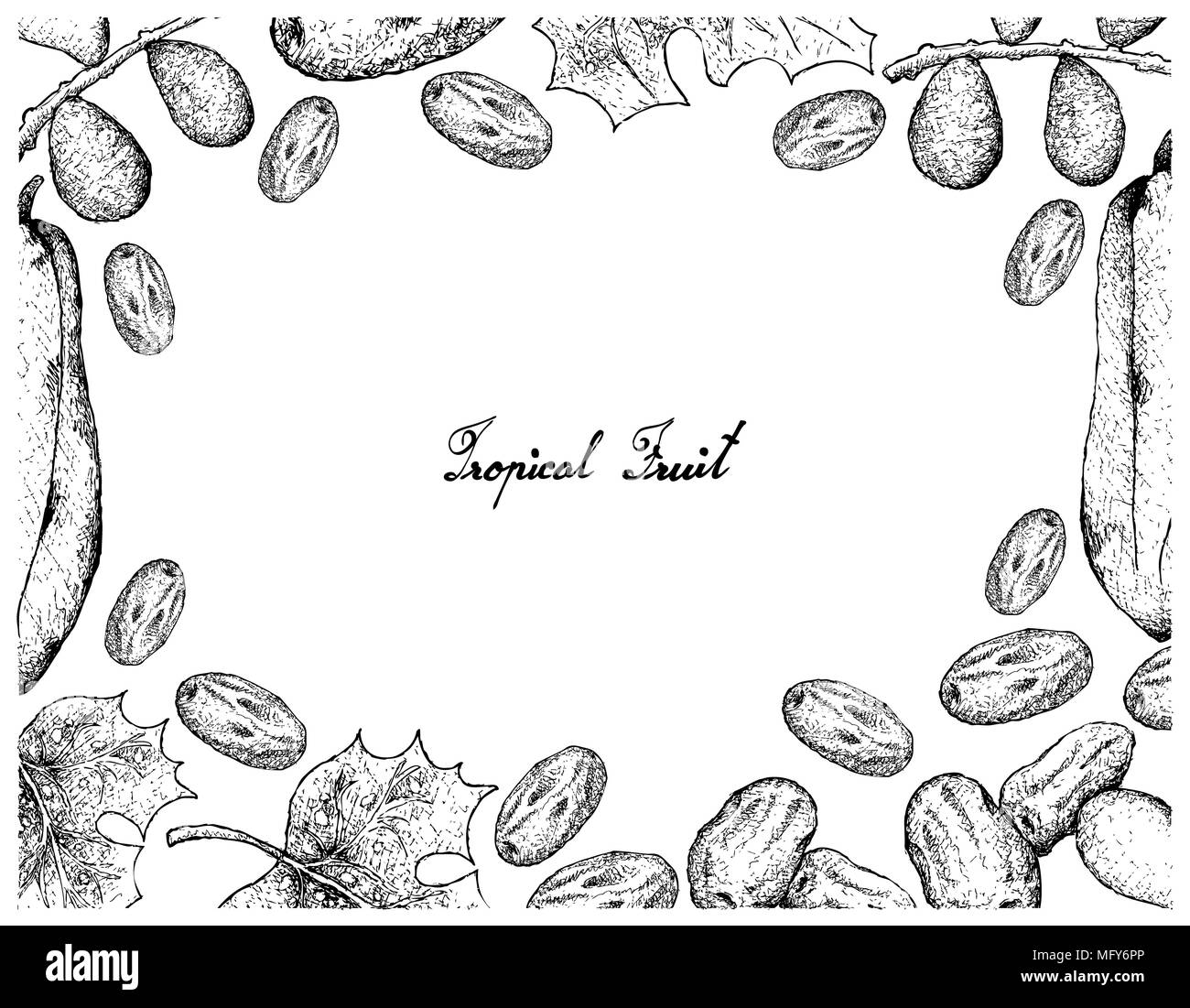 Tropical Fruits, Illustration Frame of Hand Drawn Sketch Fresh Dates or ...