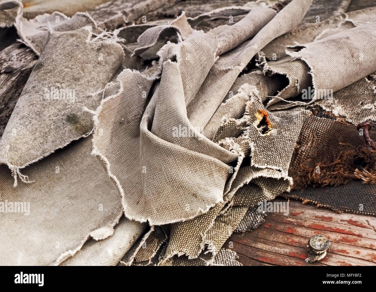 Weather Beaten #5 Stock Photo - Alamy