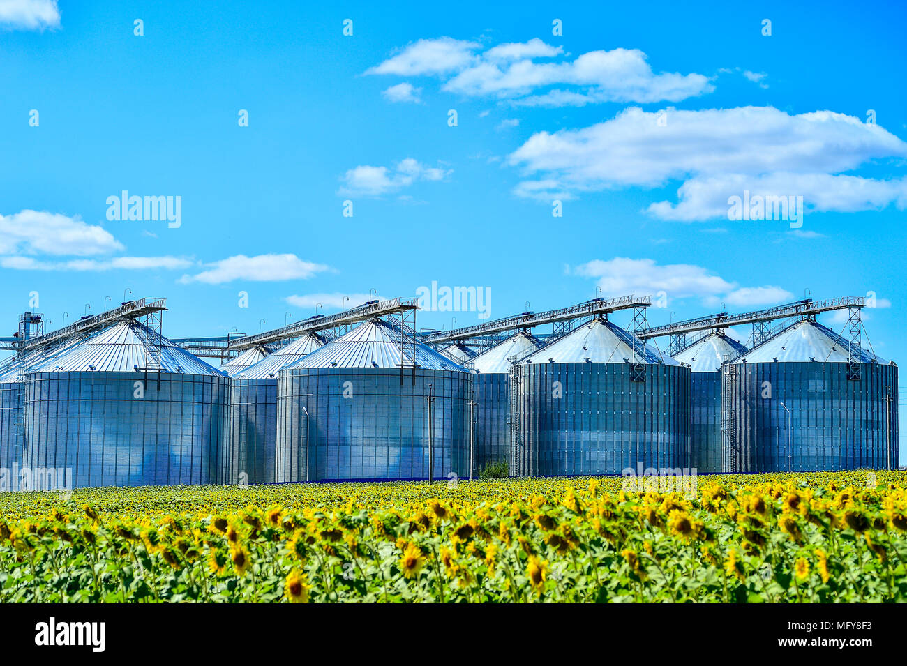 Sunflower oil factory hi-res stock photography and images - Alamy