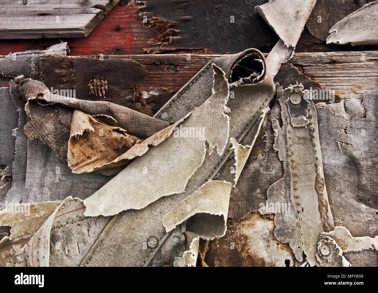 Weather Beaten #4 Stock Photo - Alamy