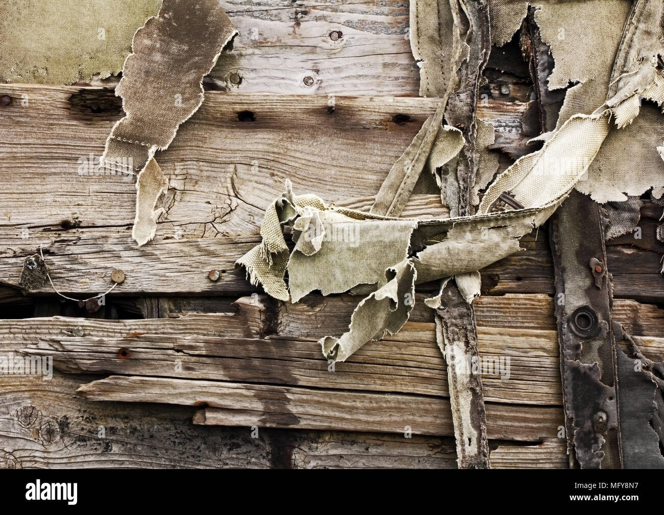 Weather Beaten #1 Stock Photo - Alamy