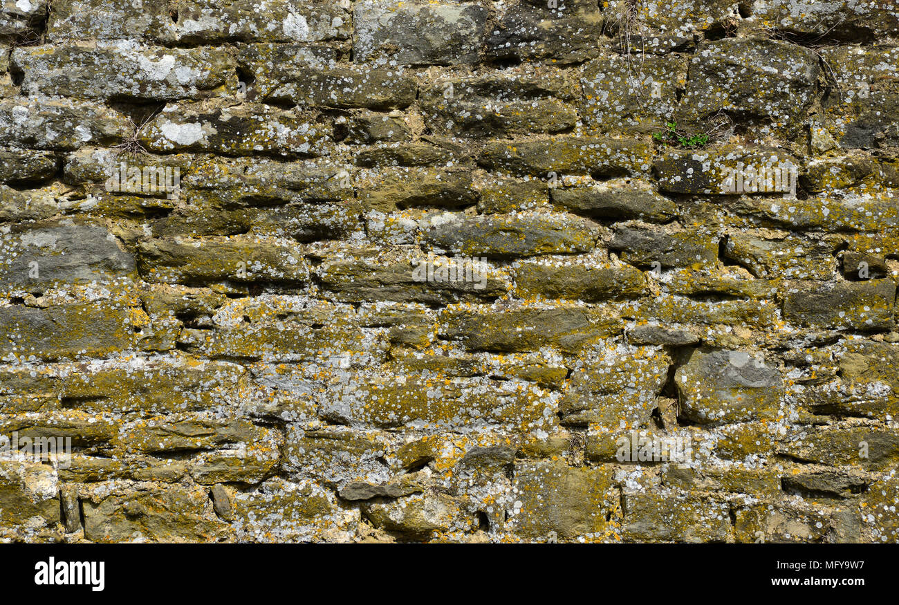 Ancient medieval stone block wall with moss and lichen background Stock ...