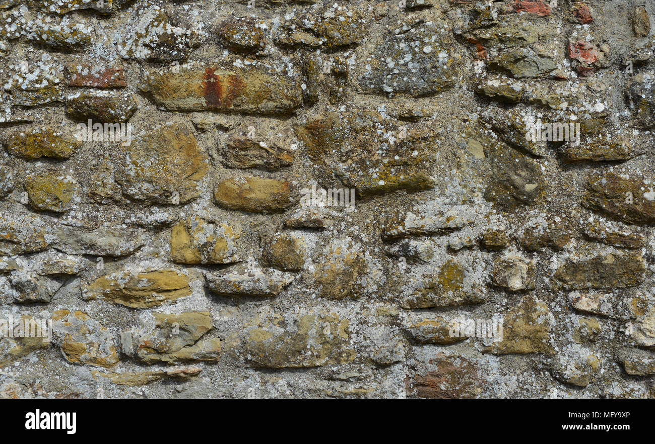 Ancient medieval stone block wall with moss and lichen background Stock ...