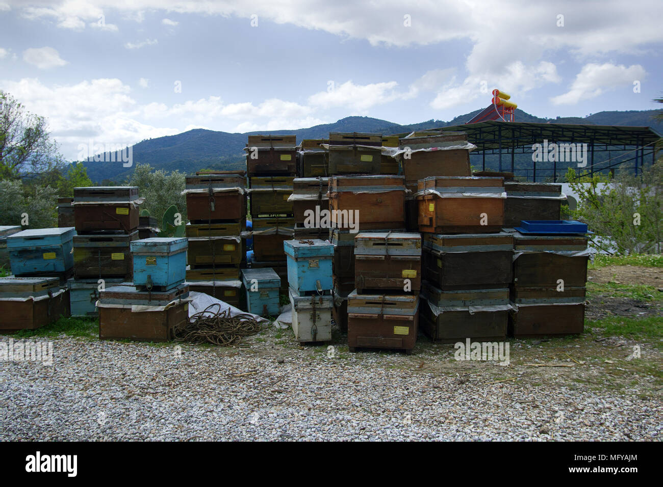 Hives and other beekeeping appliance for breeding bees and obtaining ...