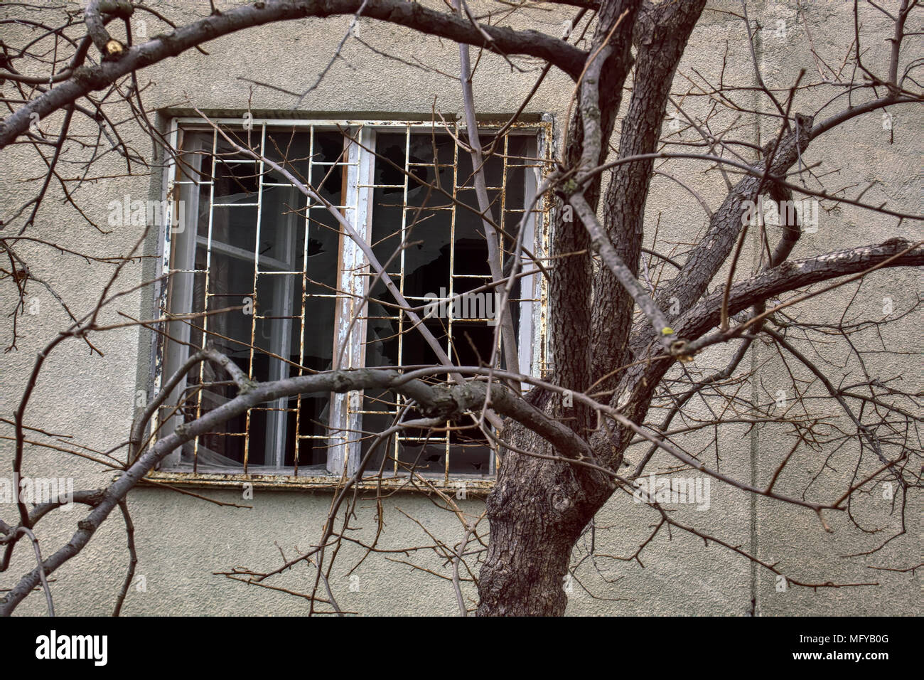 Abandoned house. Window with broken glass and tree with bare branches ...