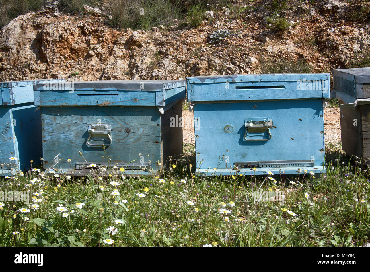 Hives and other beekeeping appliance for breeding bees and obtaining ...