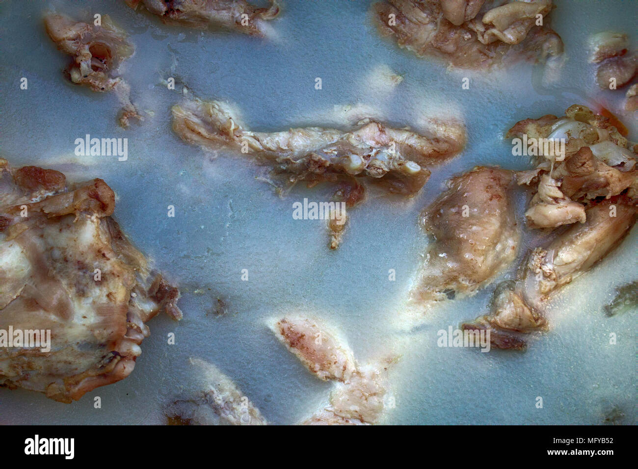 Lamb with pepper and onions much fat. Cooked in cauldron (bishbarmak ...