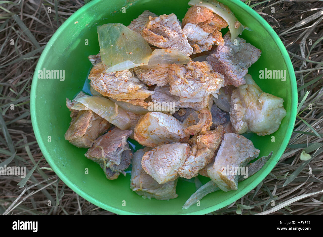Lamb with pepper and onions much fat. Cooked in cauldron (bishbarmak ...