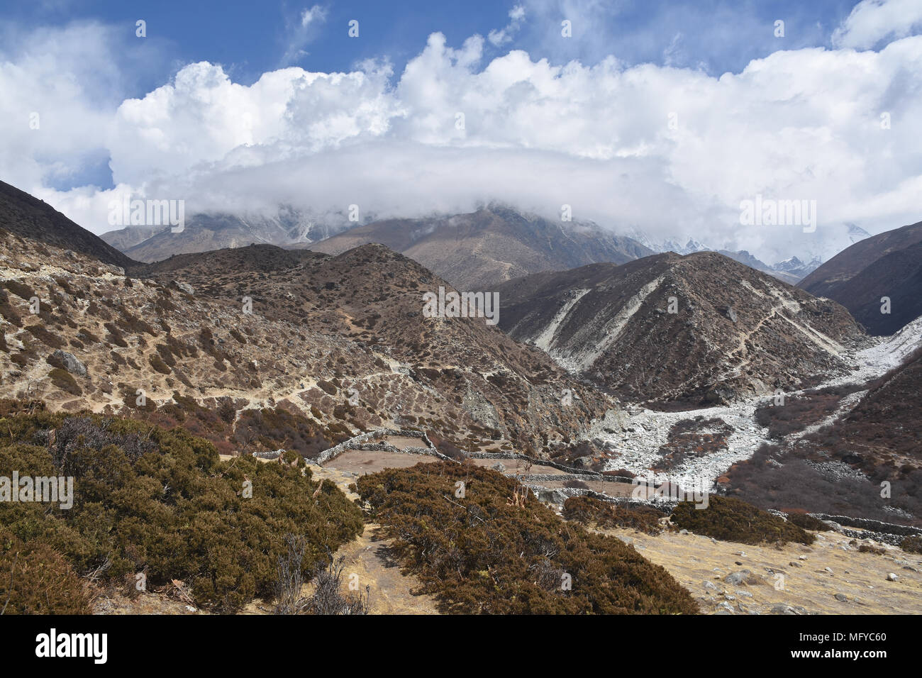 Old yak farm close hi-res stock photography and images - Alamy