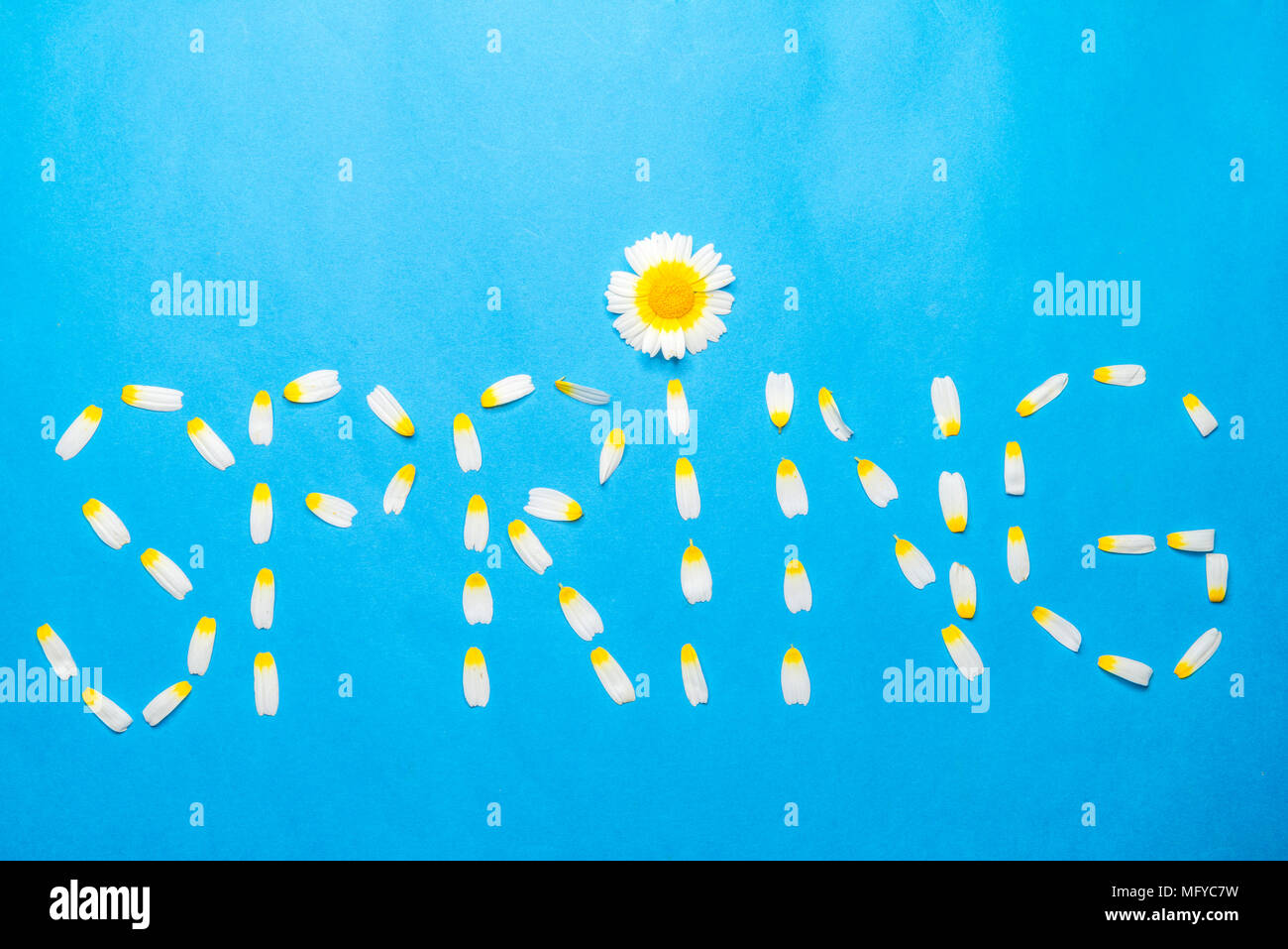 Word spring written with white petals on a blue background Stock Photo ...