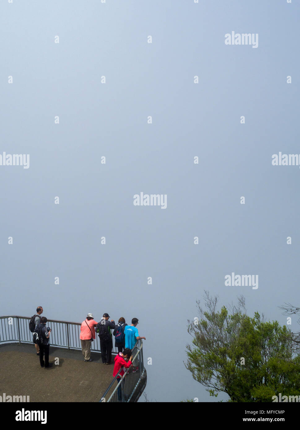 Misty morning at the Blue Mountains National Park, Queen Elizabeth ...