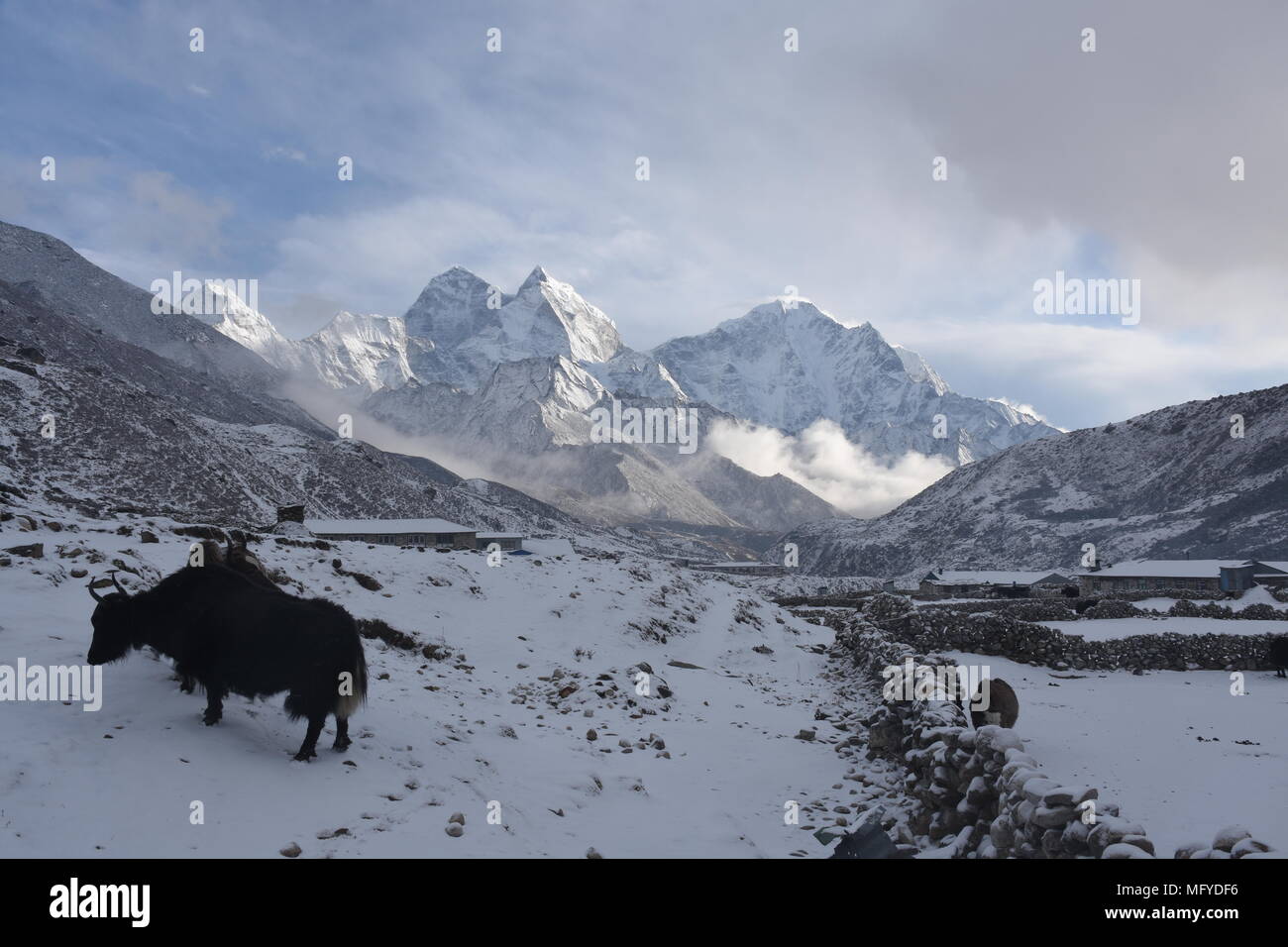 Pheriche valley nepal hi-res stock photography and images - Alamy