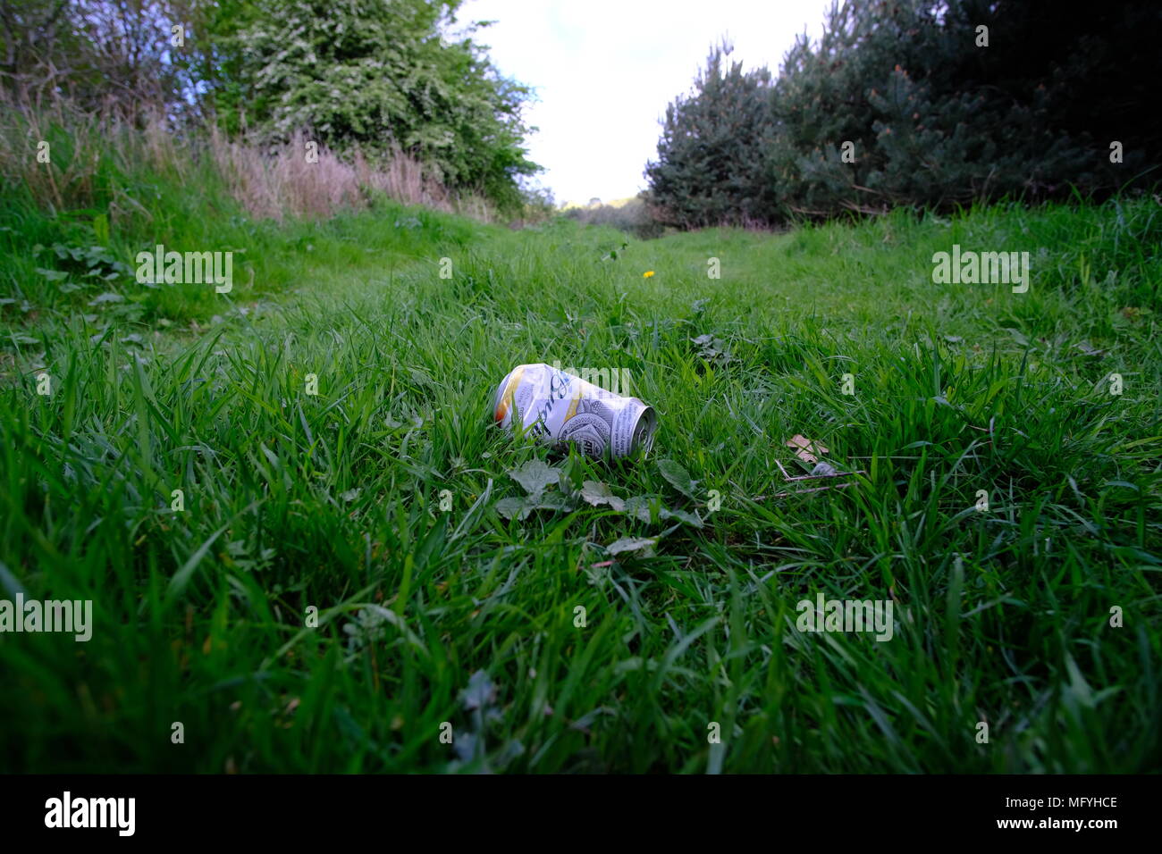 Old beer cans discarded along a grass path Stock Photo - Alamy