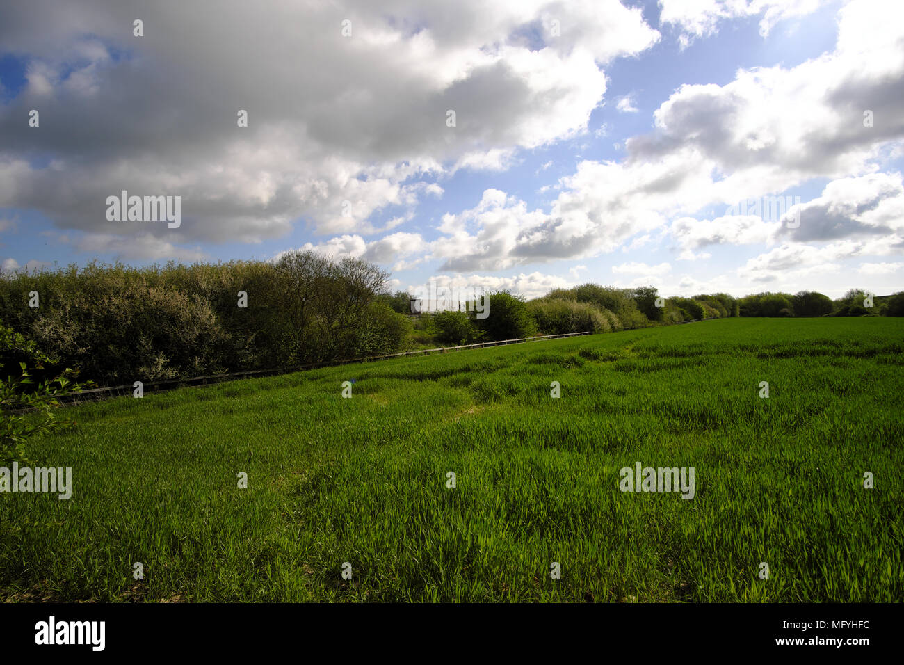 A view of fields, hedges and clouds in Kent, UK Stock Photo - Alamy