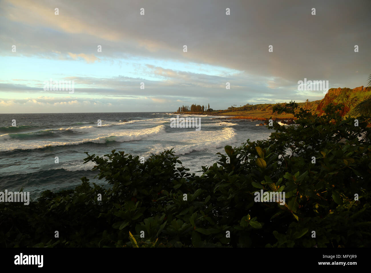 Arizona coastline hi-res stock photography and images - Alamy