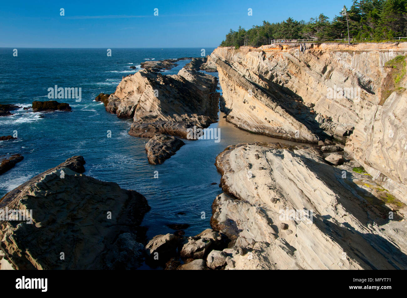 Coast bluff, Shore Acres State Park, Oregon Stock Photo - Alamy