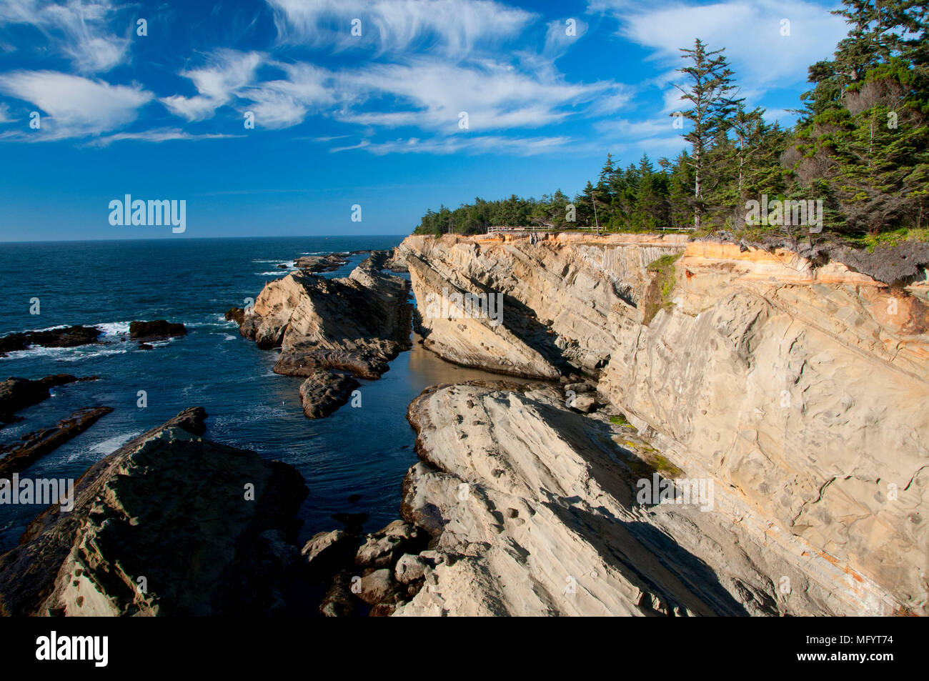 Shore acres state park hi-res stock photography and images - Alamy