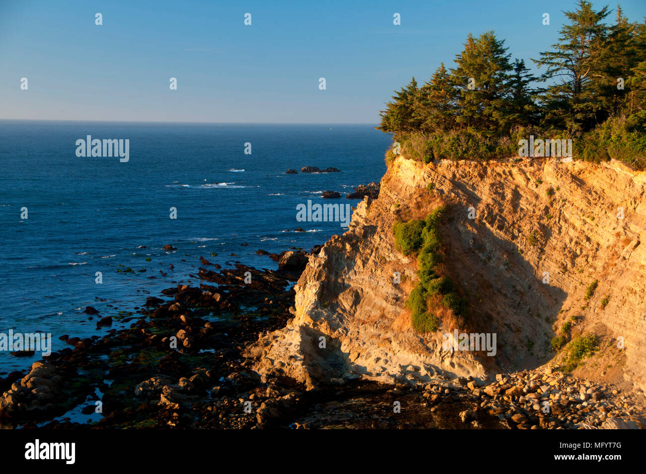 Coast bluff, Shore Acres State Park, Oregon Stock Photo - Alamy