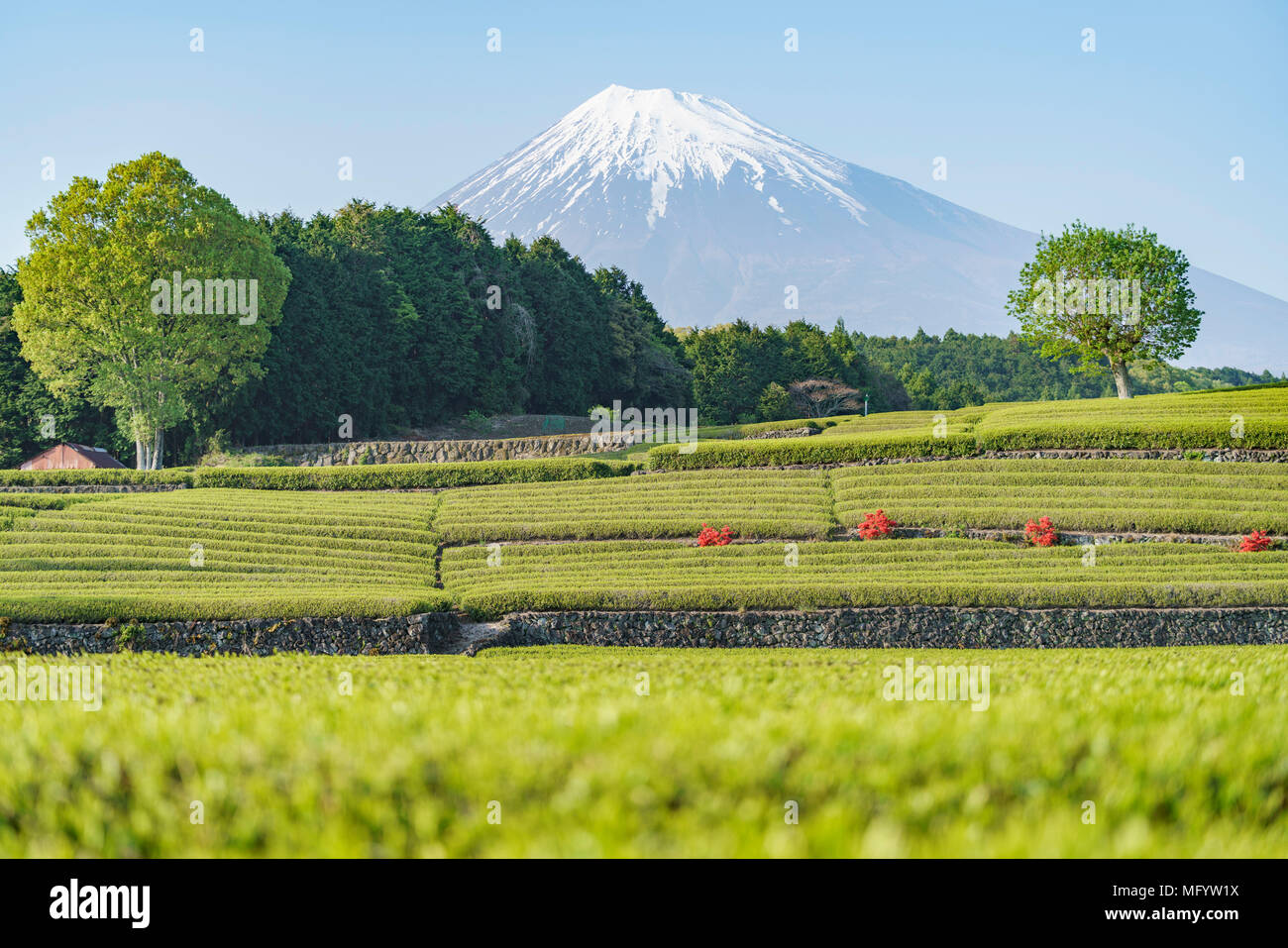 Obuchi hi-res stock photography and images - Alamy