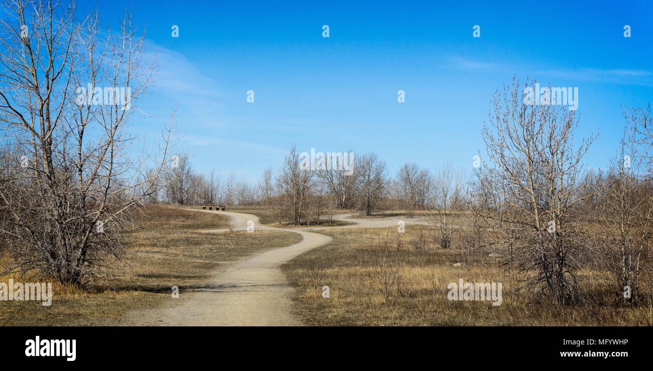 Nose hill park calgary, canada hi-res stock photography and images - Alamy