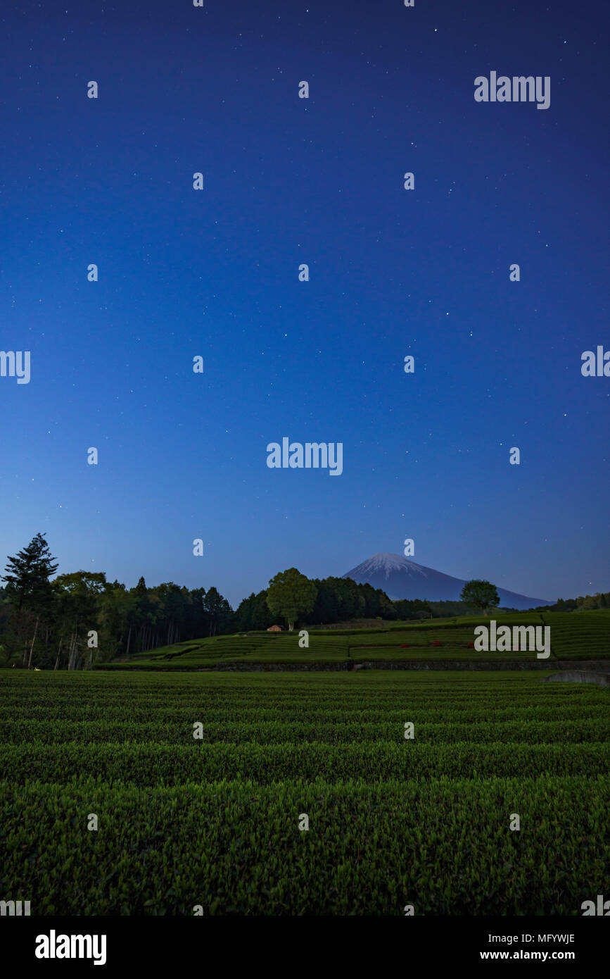 Obuchi hi-res stock photography and images - Alamy