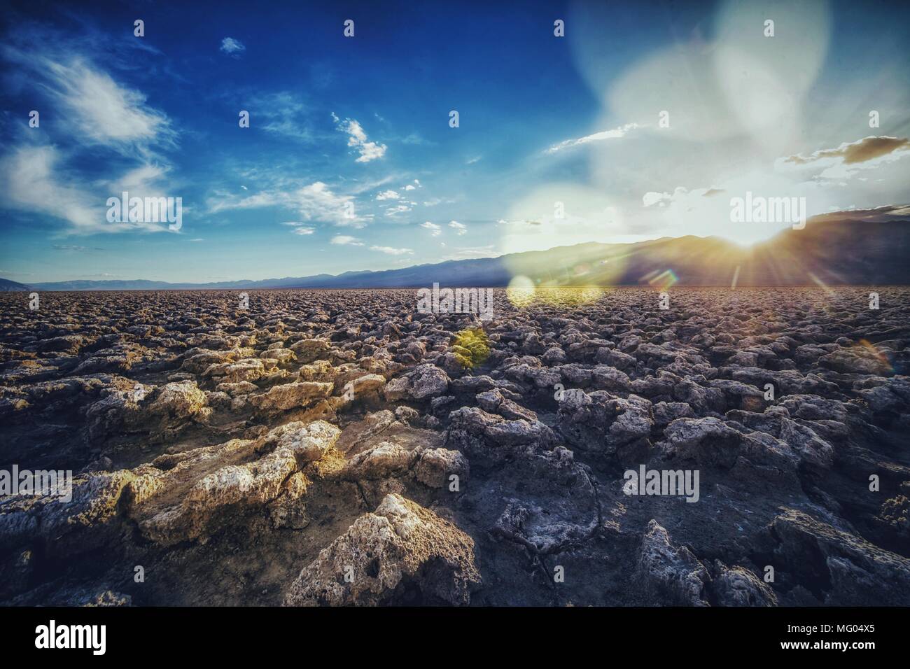 Usa arid ground in the desert hi-res stock photography and images - Alamy