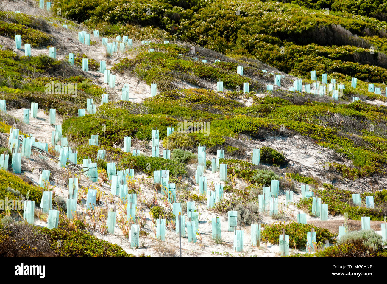Environmental Rehabilitation Area Stock Photo - Alamy