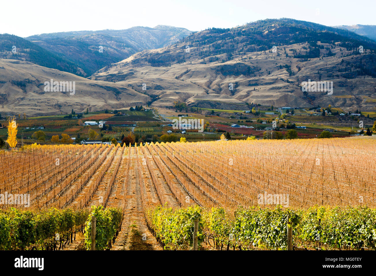 Town of oliver bc hi-res stock photography and images - Alamy