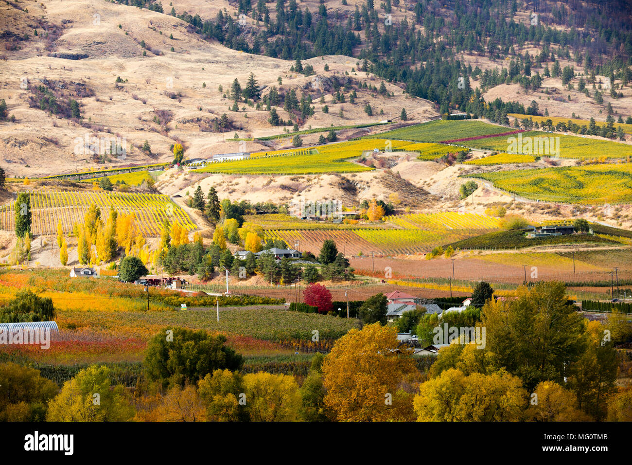 Town of oliver bc hi-res stock photography and images - Alamy