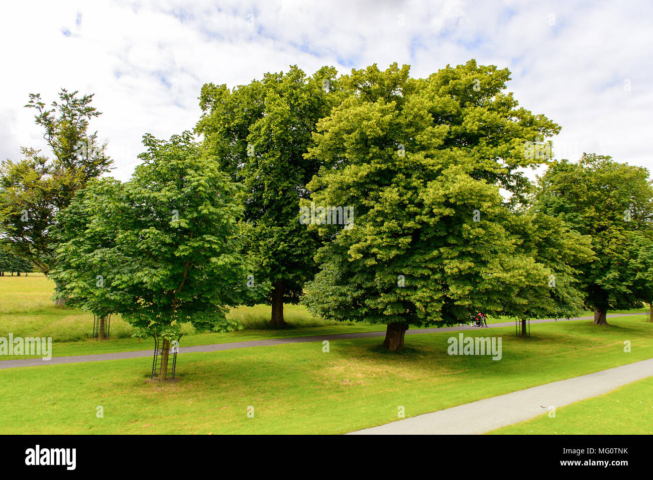 Phoenix park, Dublin, Ireland Stock Photo - Alamy