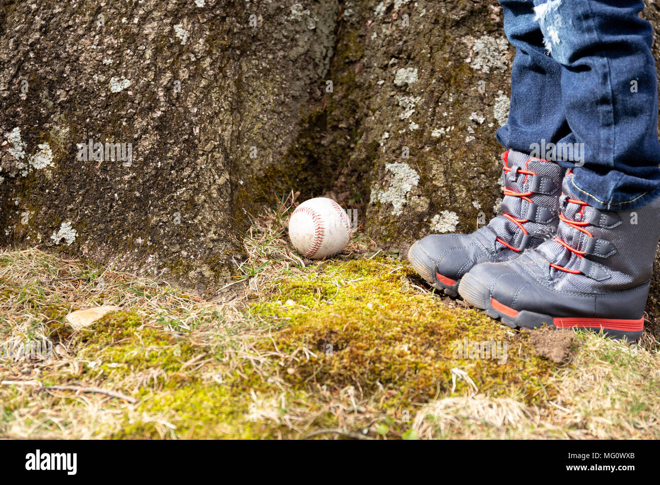 Baseball ball and children foot under the big tree in the garden Stock ...