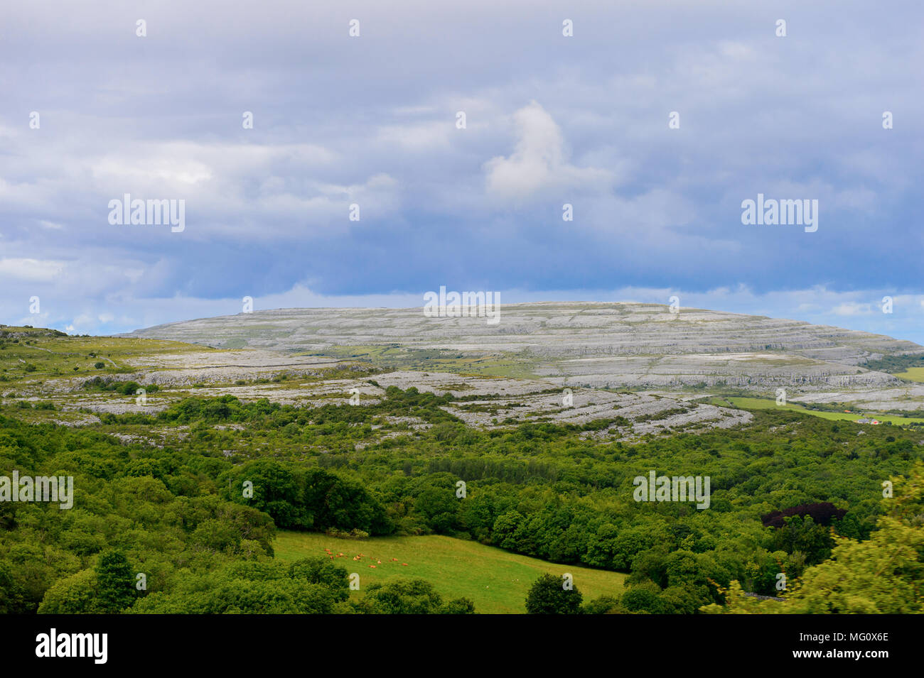 Beautiful nature of Ireland Stock Photo - Alamy