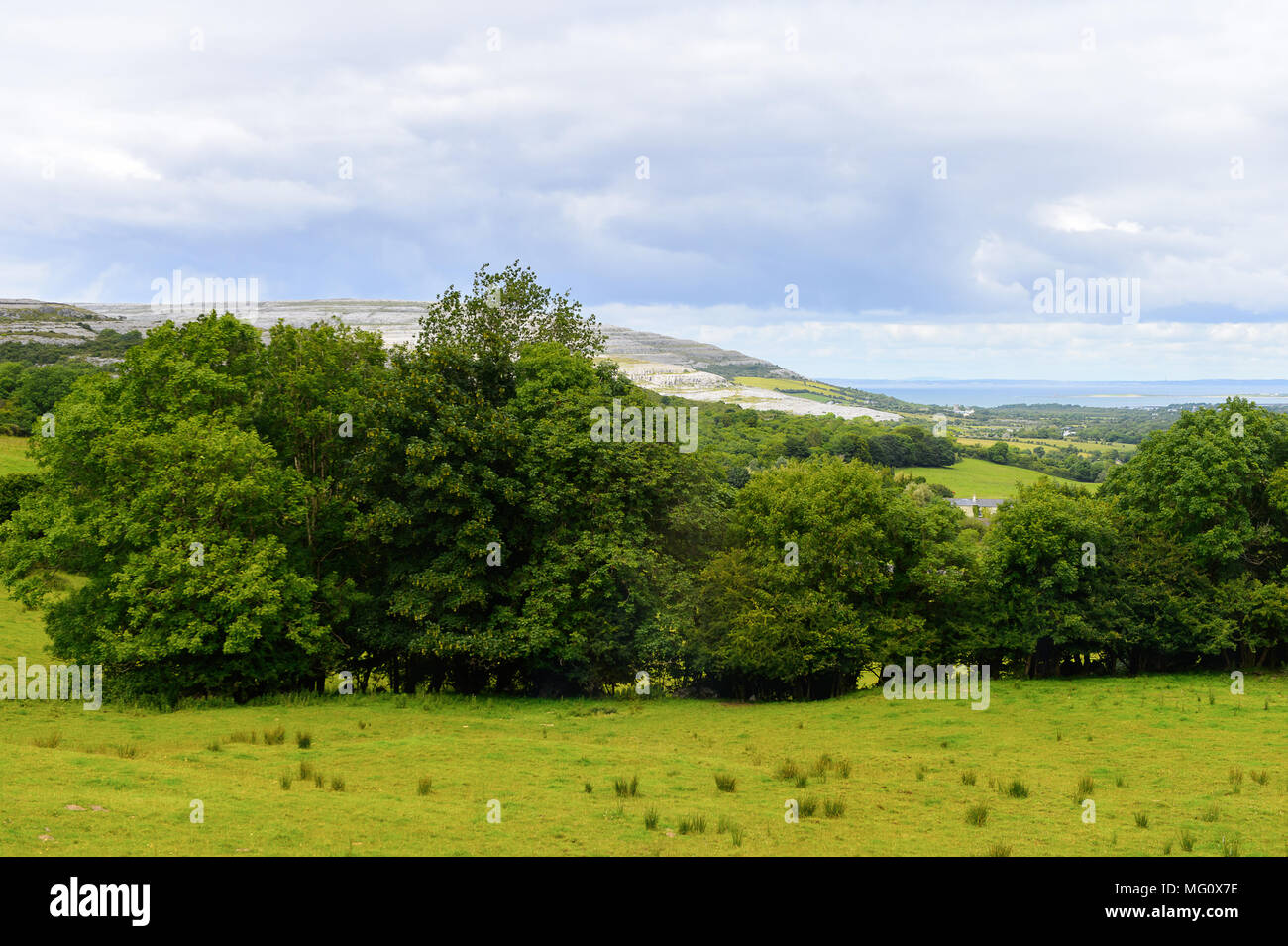 Beautiful nature of Ireland Stock Photo - Alamy
