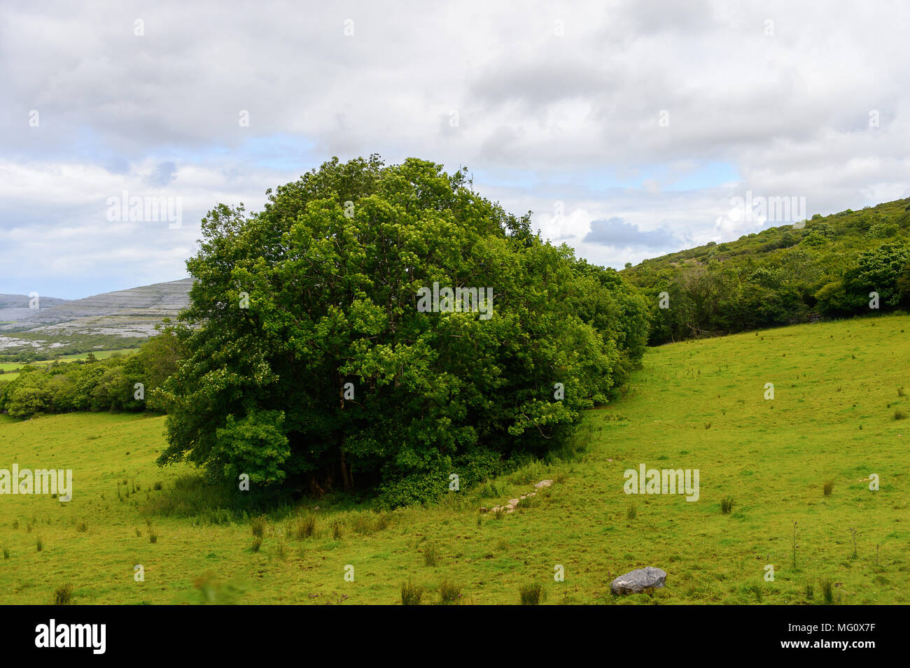 Beautiful nature of Ireland Stock Photo - Alamy