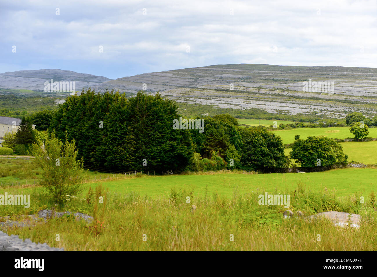 Beautiful nature of Ireland Stock Photo - Alamy