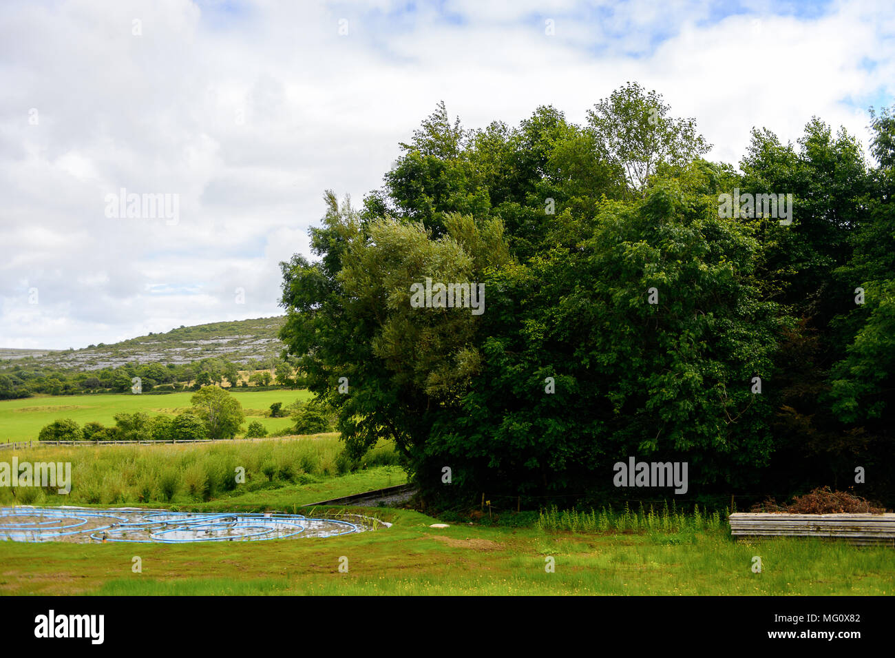 Beautiful nature of Ireland Stock Photo - Alamy