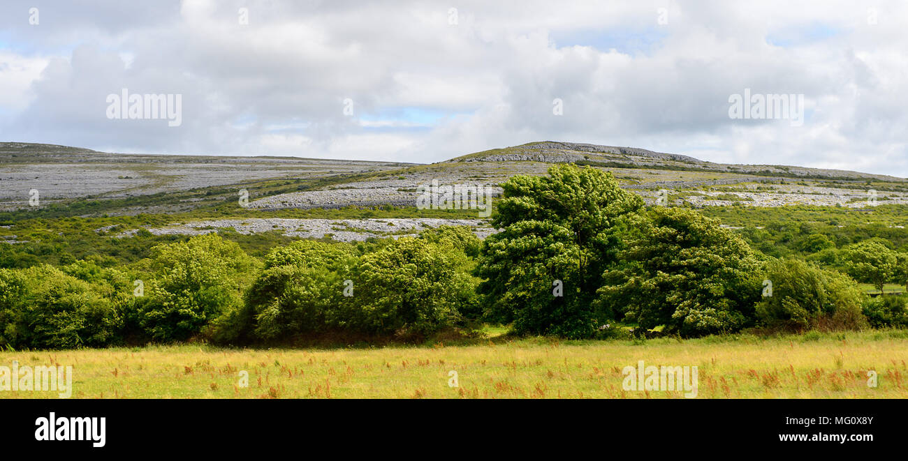 Amazing nature of Ireland Stock Photo - Alamy