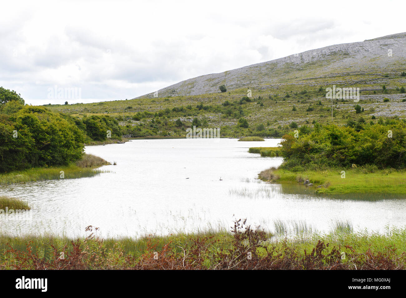Beautiful nature of Ireland Stock Photo - Alamy