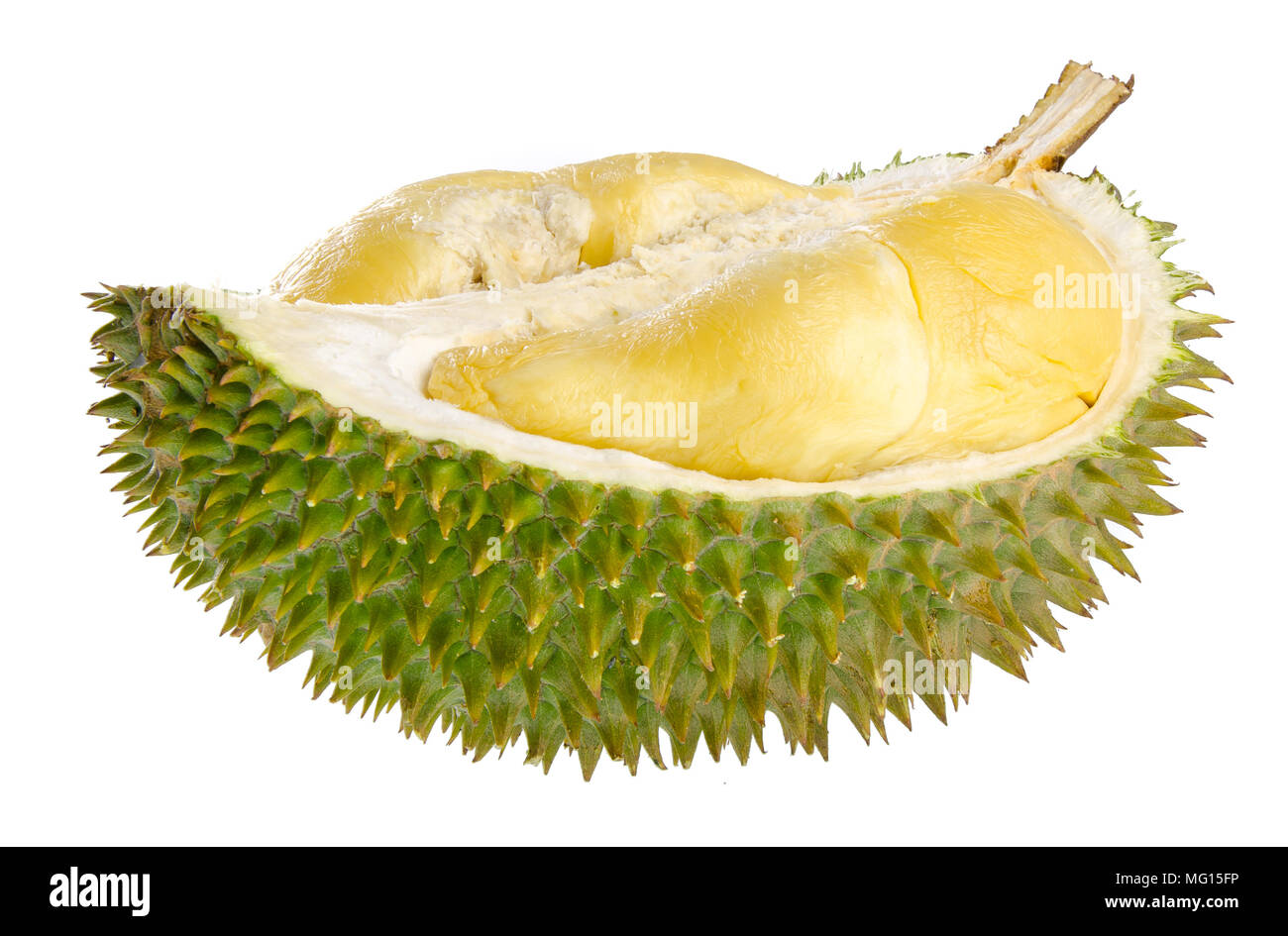 Durian fruit. Shell (husk) of the prized durian fruit Stock Photo - Alamy