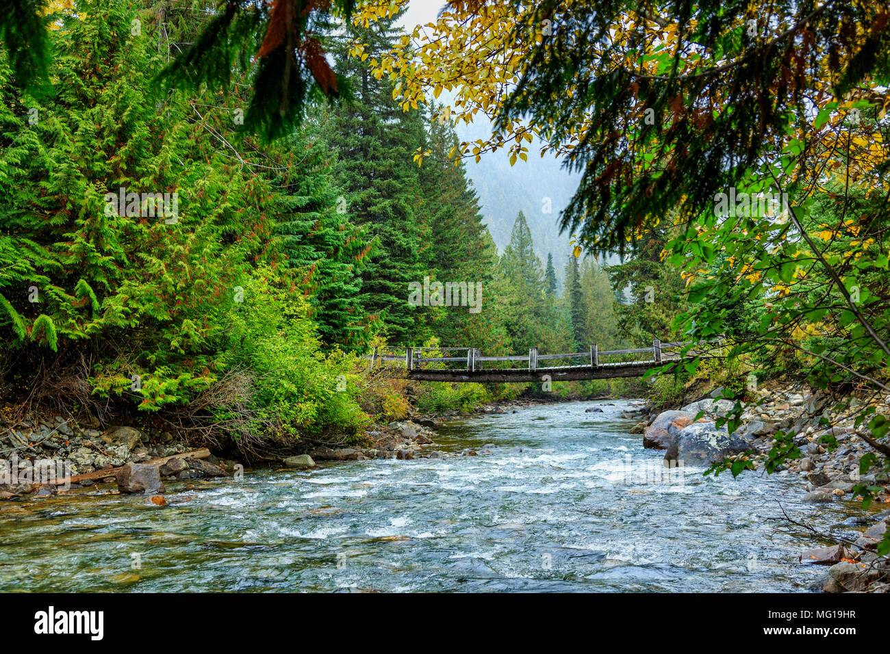 Cayoosh Creek, BC, Canada Stock Photo - Alamy