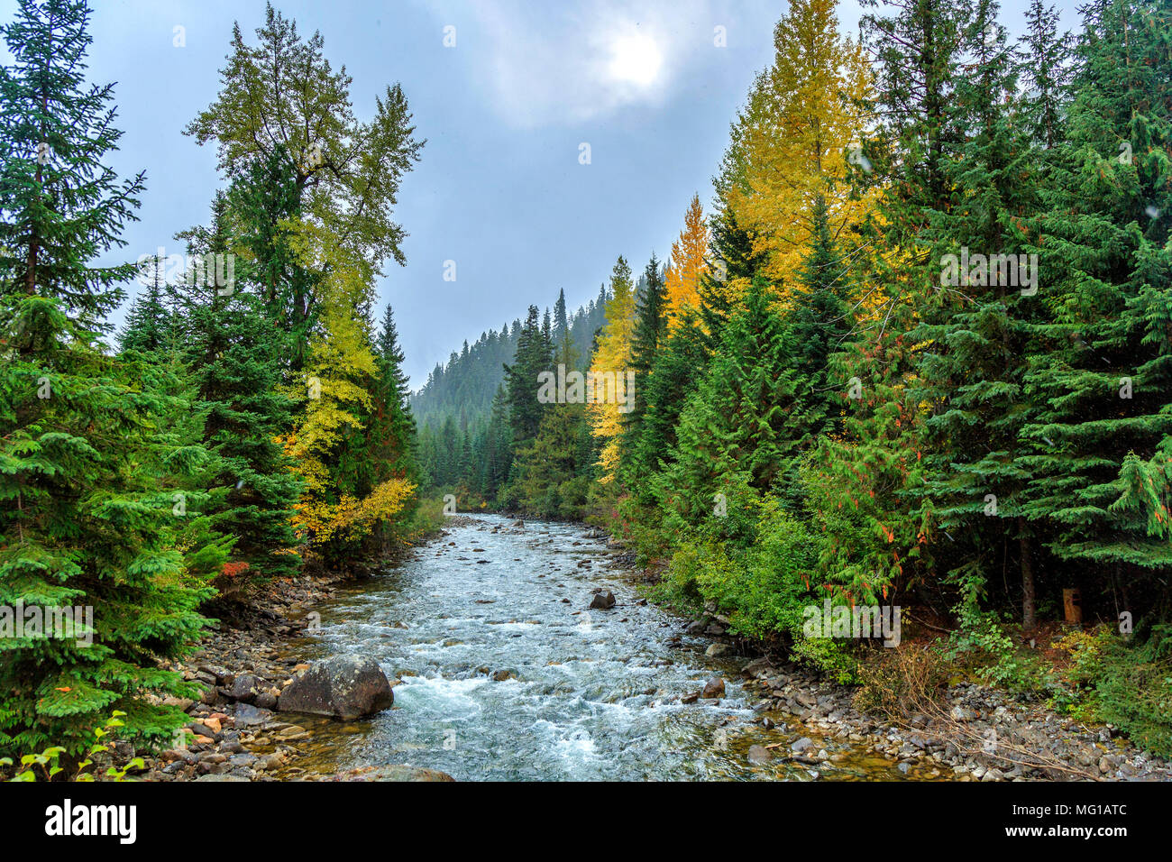 Cayoosh Creek, BC, Canada Stock Photo - Alamy