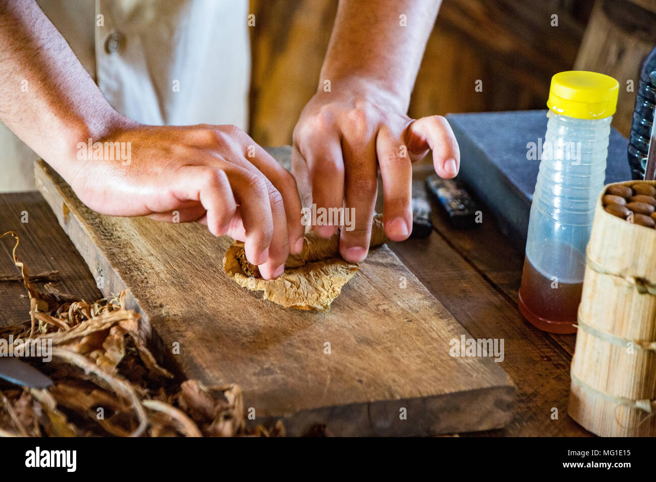 vinalis, Cuba Nov 23, 2017 - Man demonstrates how to roll a perfect ...