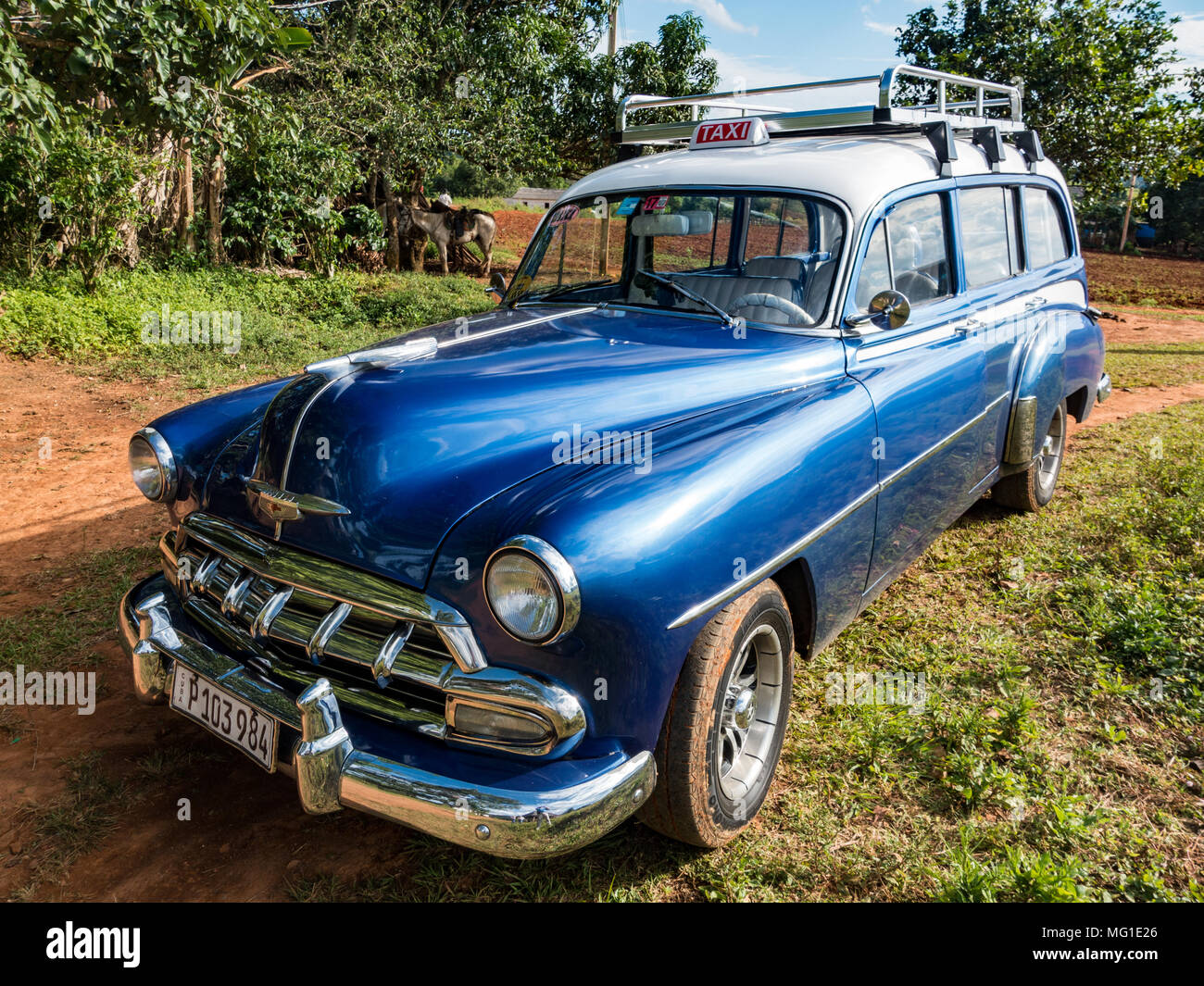 Vinalis, Cuba, Nov 23, 2017 - Classic American blue 1950's Chevrolet ...